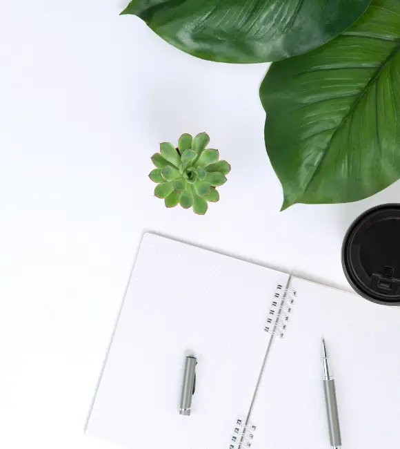 Επικοινωνία | Theta Path